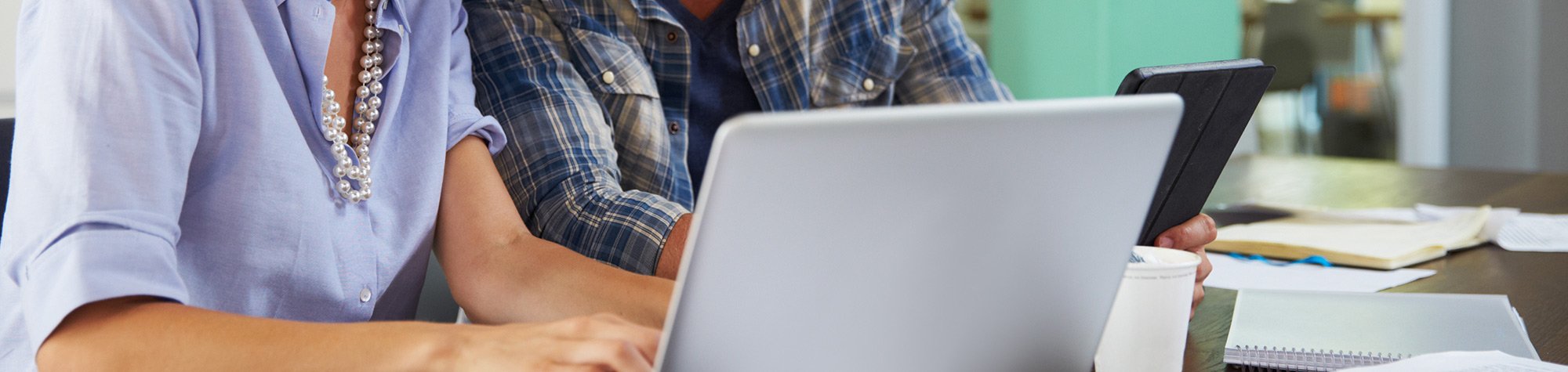 HCL services – Pinja