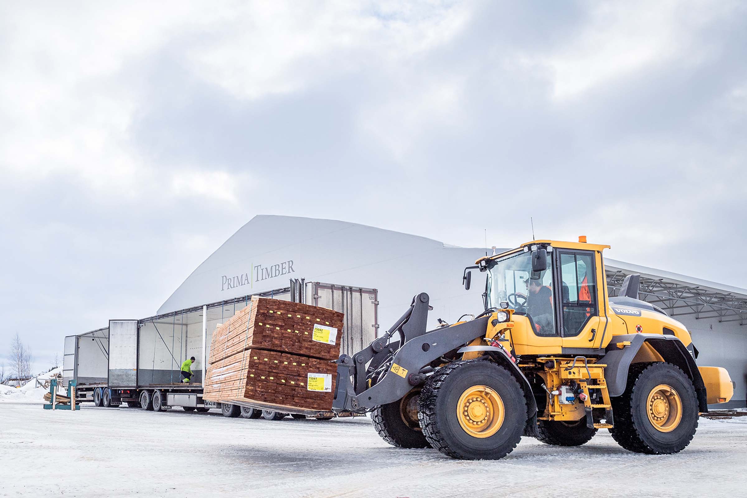 Prima Timber – Pinja